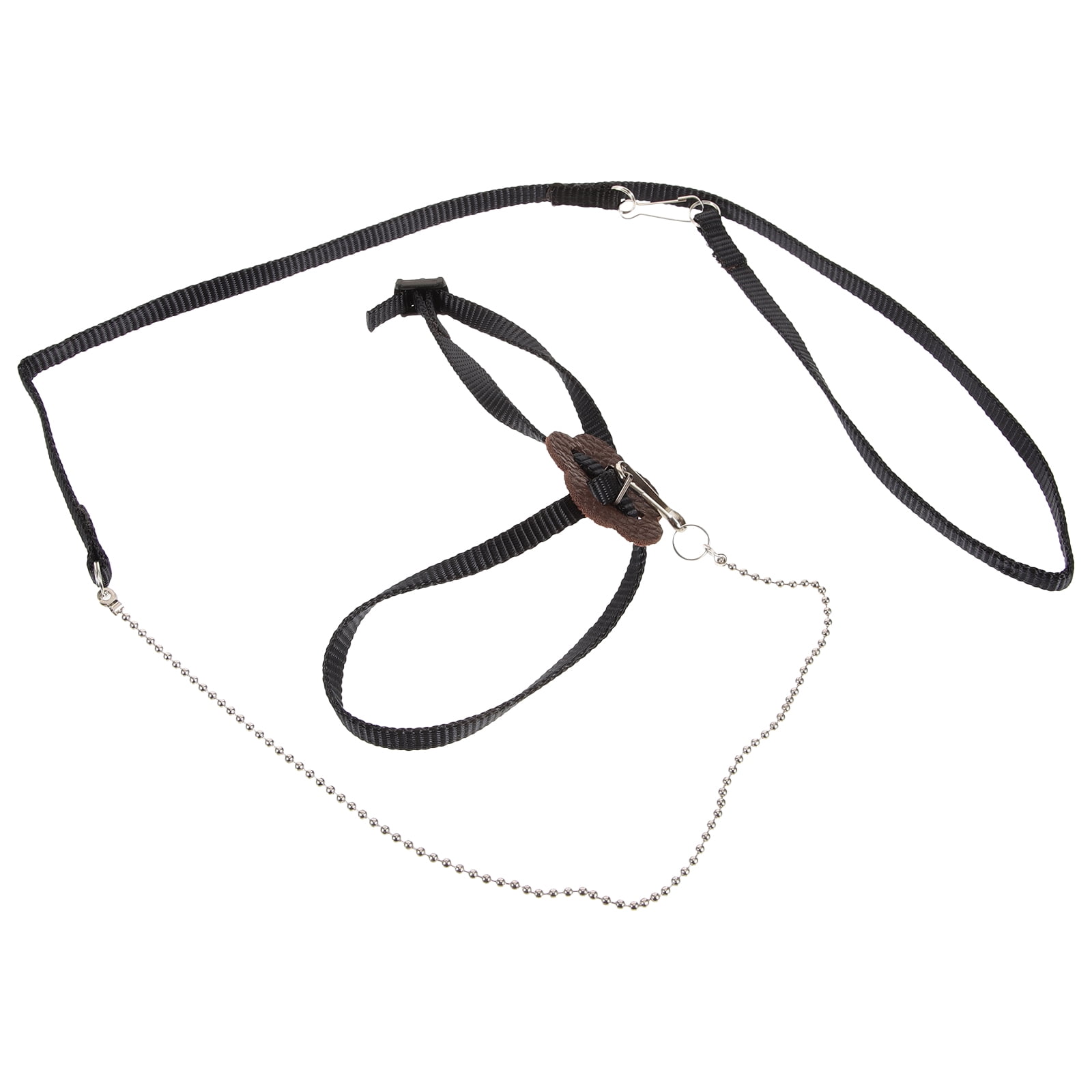 Set of 3 Turtle Lead Training Leash Puppy Harness Pet Supply Lizard ...