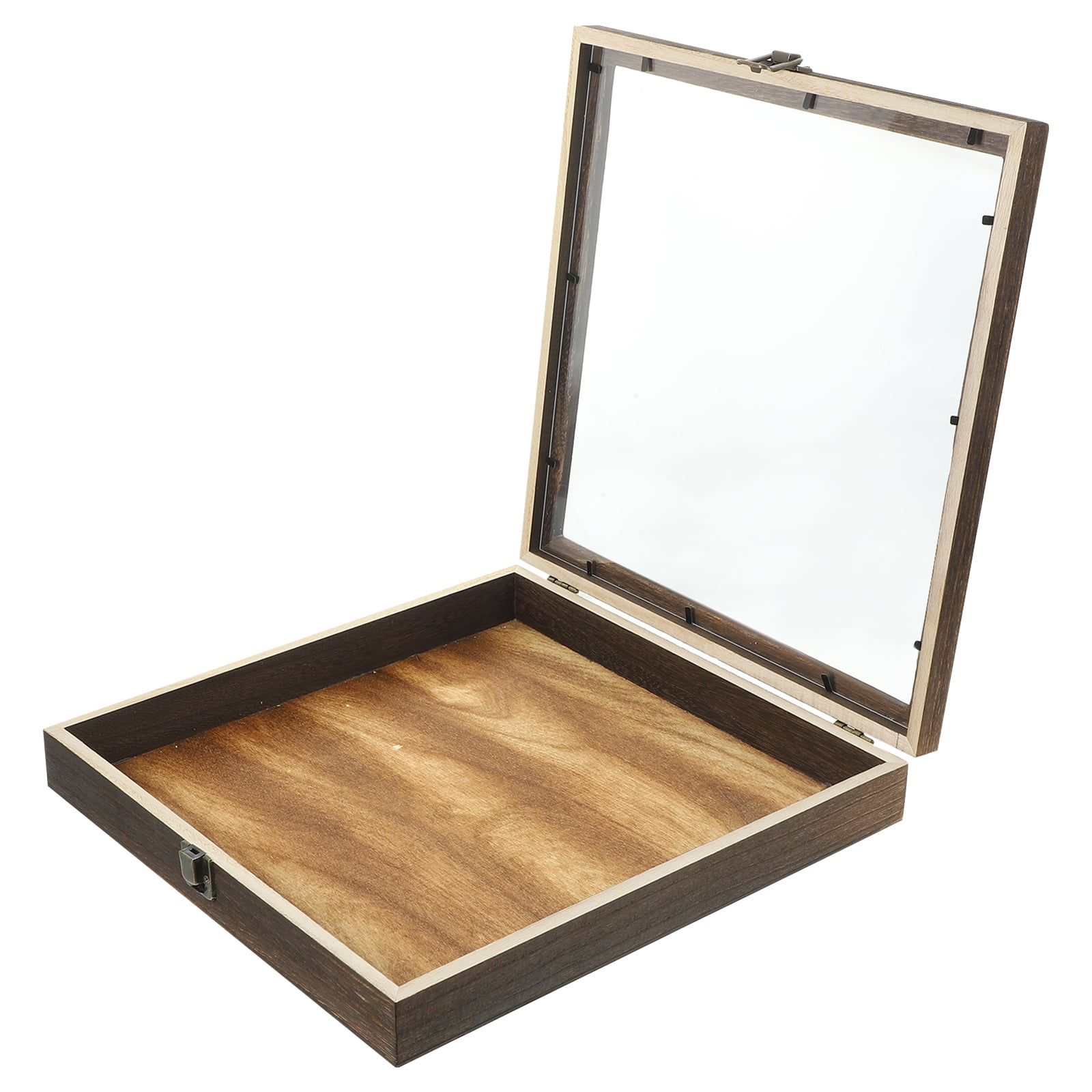 Set of 3 Vintage Specimen Display Case Container with Lid Insect ...