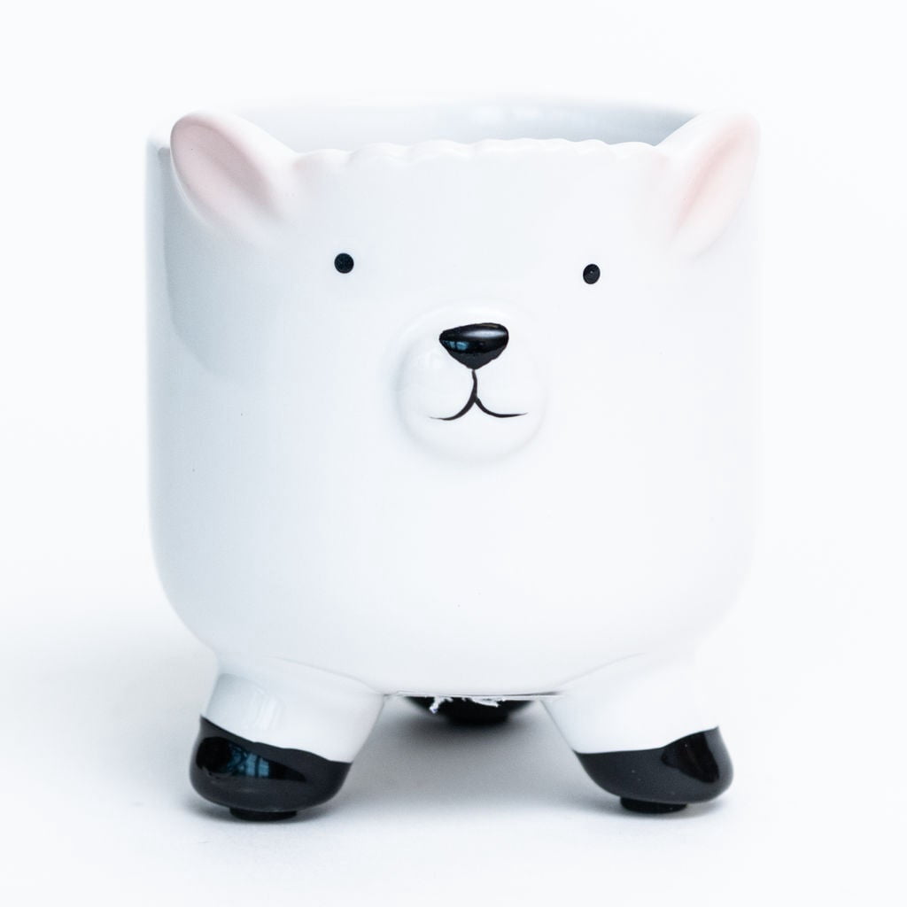 Set of 4 Footed Polar Bear Planter - Walmart.com