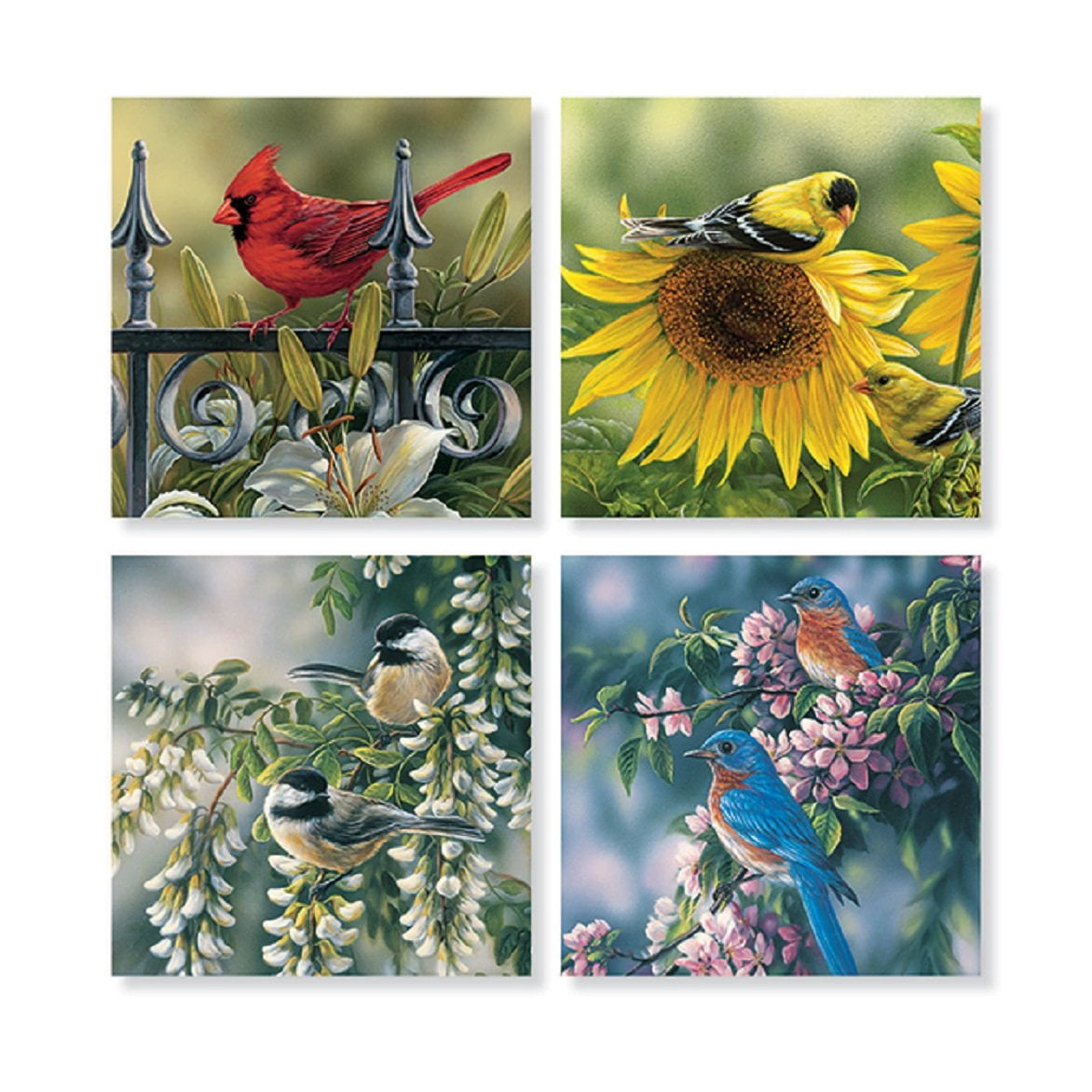 Absorbent Stone Coasters