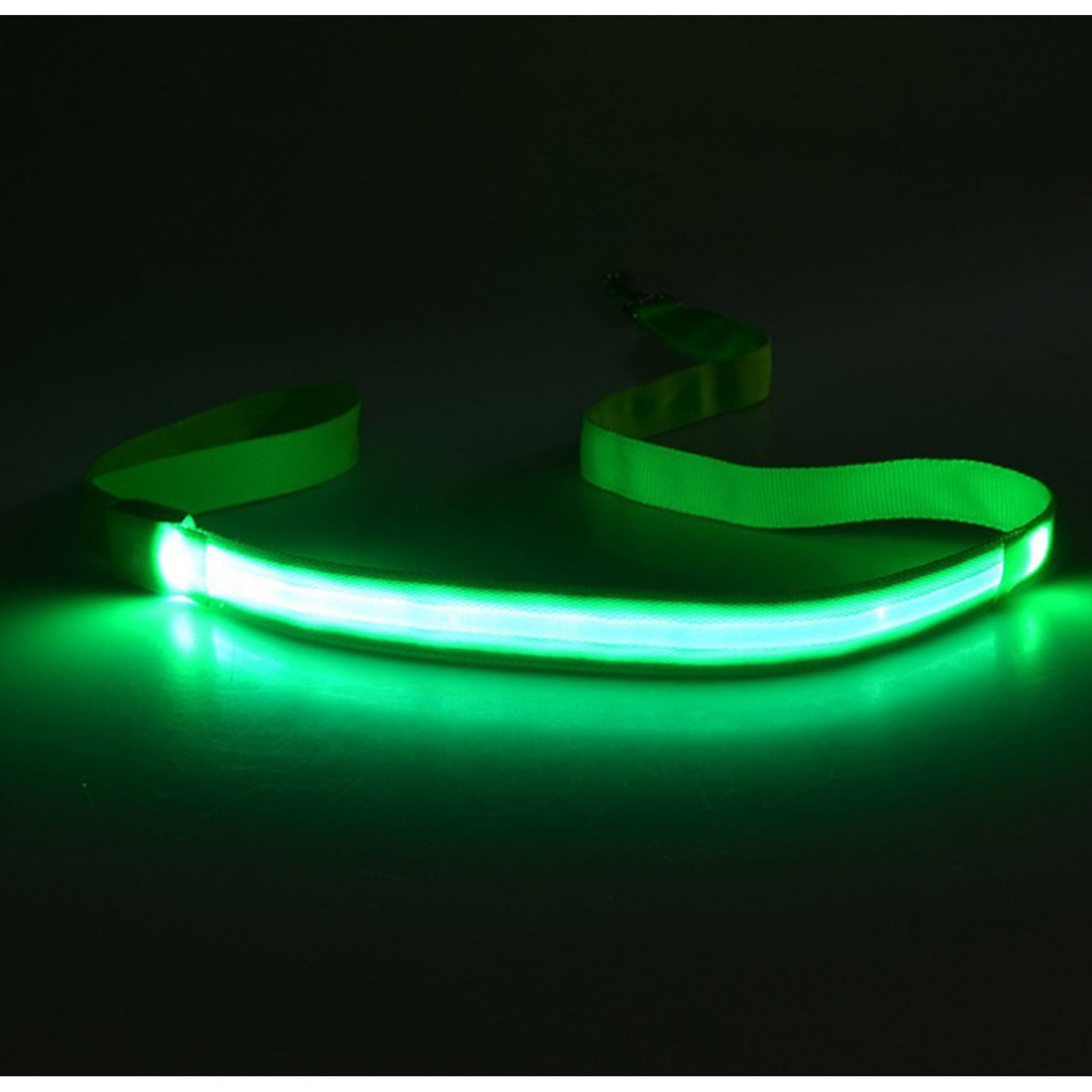 Set of 4 Rechargeable LED Dog Leash Long Waterproof Nylon for Enhanced ...
