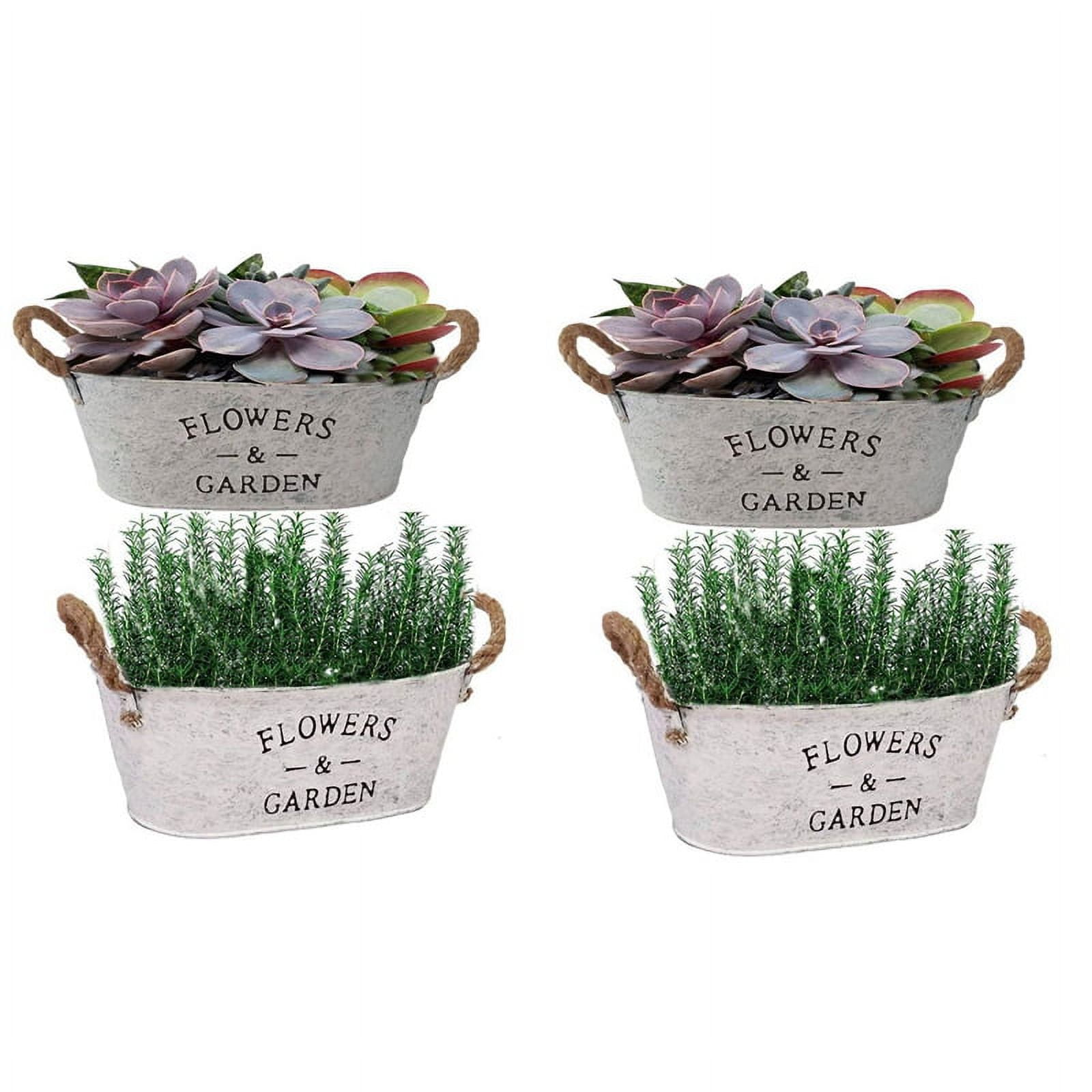 Set of 4 Rustic Metal with Handles,Farmhouse Succulents Herbs Pots ...