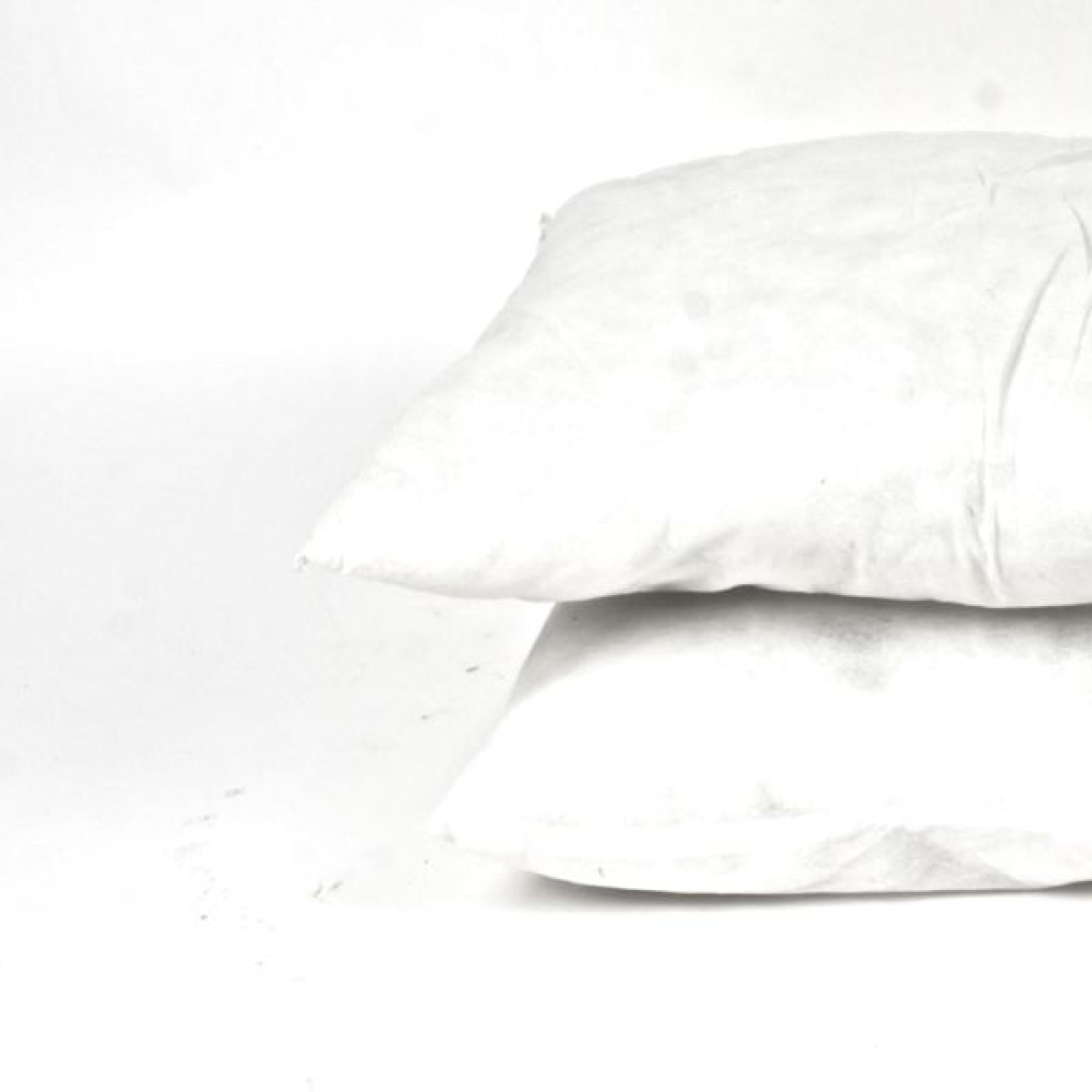 Set of 4 Set of 4 White 500 Gr 20 X 20 Pillow Insert - Walmart.com