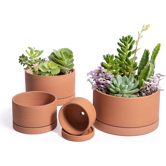 Set of 4 Terracotta Shallow Planter Pots for Succulent, 3 Inch 4 Inch 5 ...