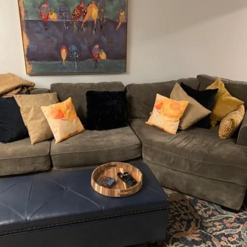 Set of 5-1 inch Thick, 15 inch Wood Circle for Crafts, Unfinished Wood ...