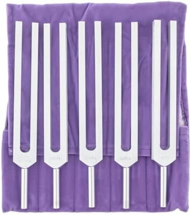 Set of 5 Brain Tuning Forks - Includes 5 Tuning Forks, Pamphlet ...