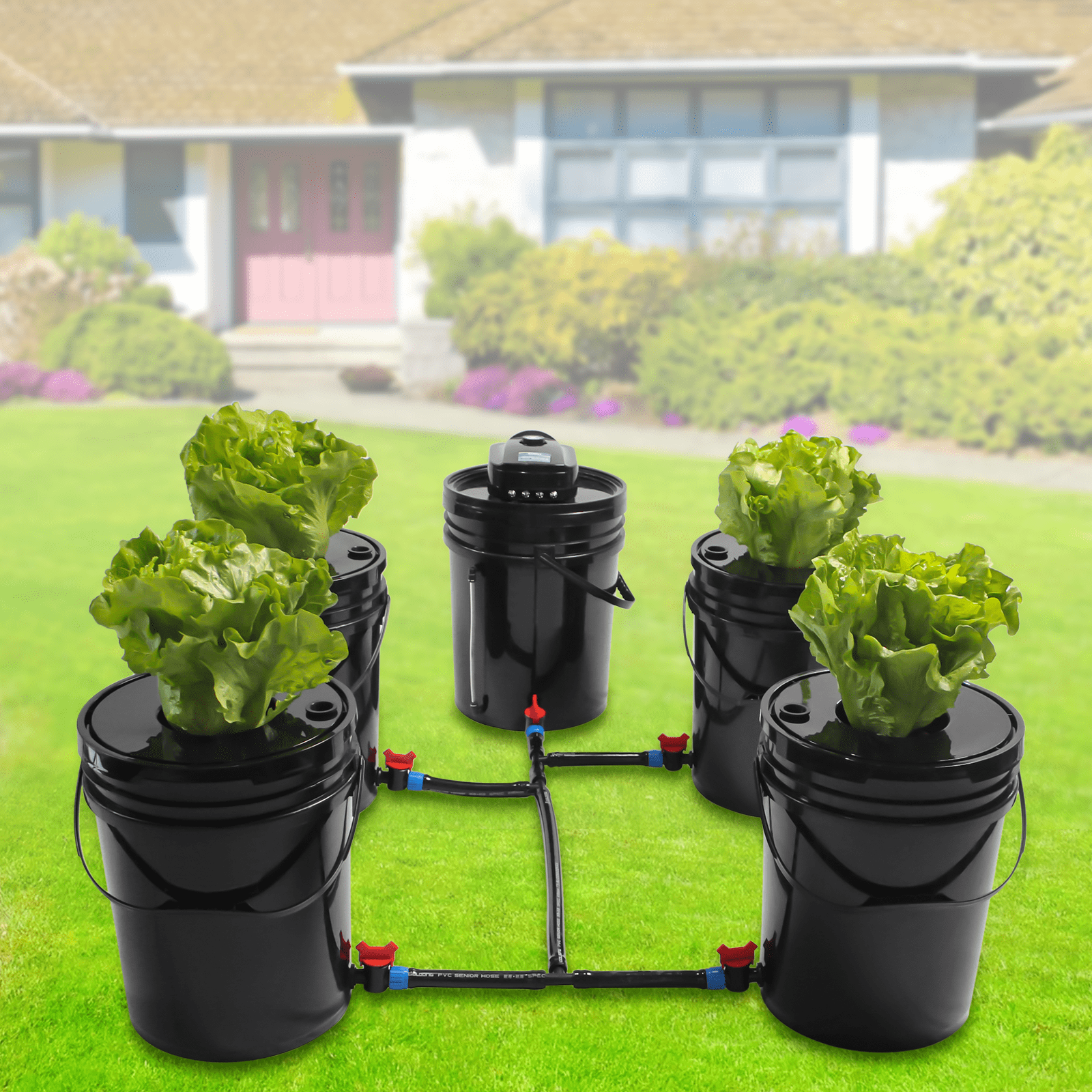 simimasen Hydroponic Grow System Kit, Deep Water Cultivation, 5 Gallon Buckets, Indoor DIY ...