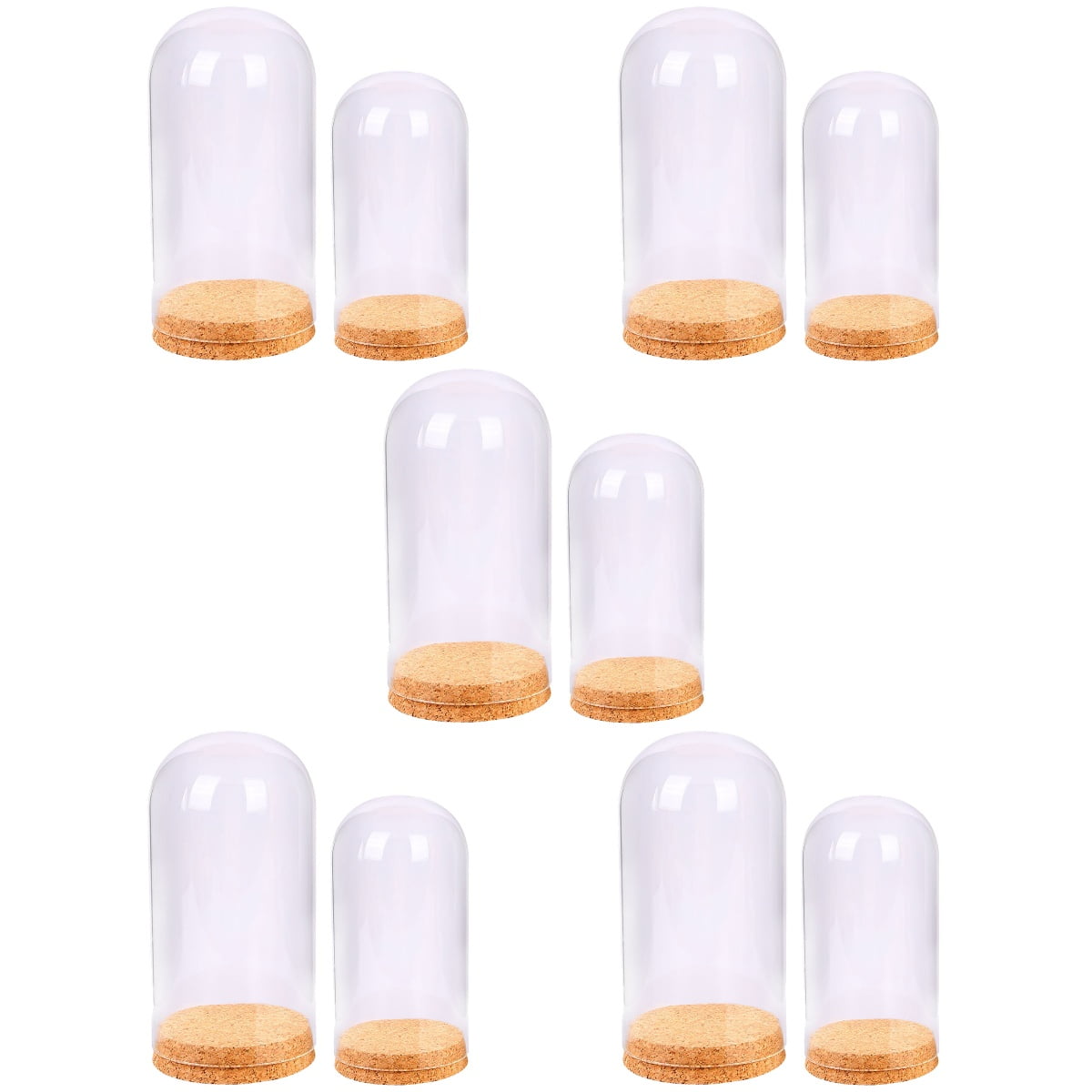 Set of 5 Garland Preserved Flower Glass Cover Terrarium Plants Display ...