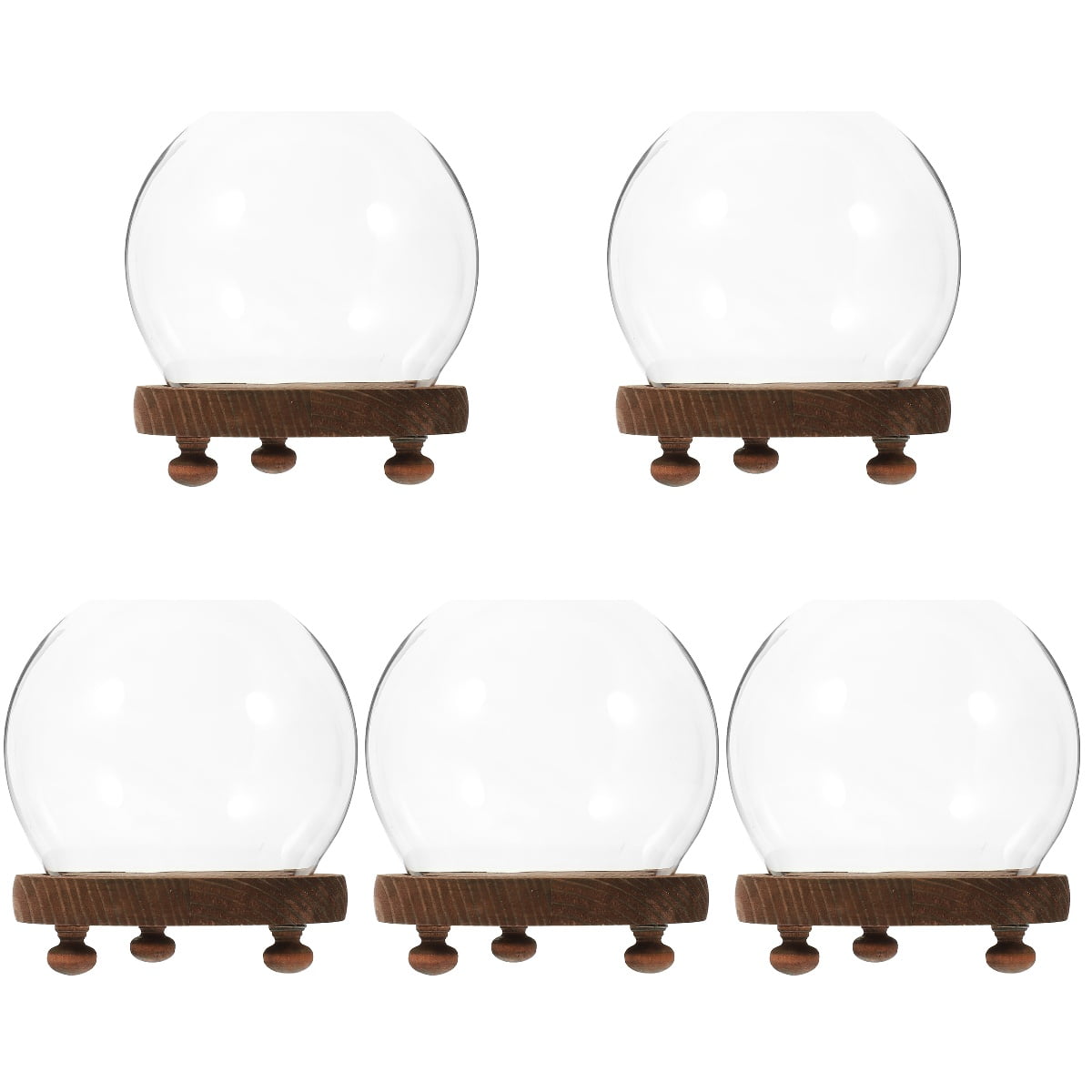 Set of 5 Spherical Glass Cover Plants Artificial Small Display Case ...
