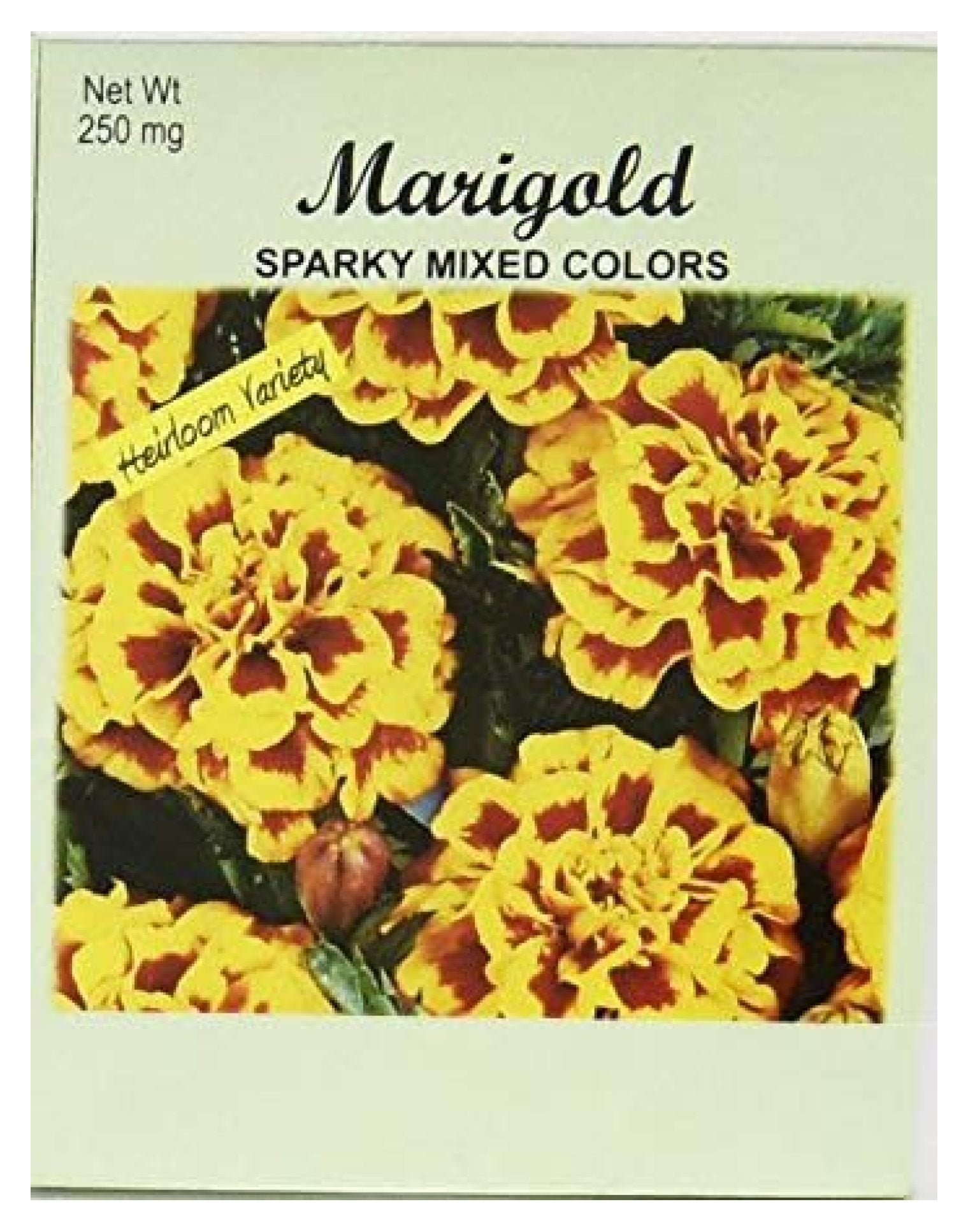 Set of 50 Flower Seed Packets! Flower Seeds in Bulk (50, Marigold ...