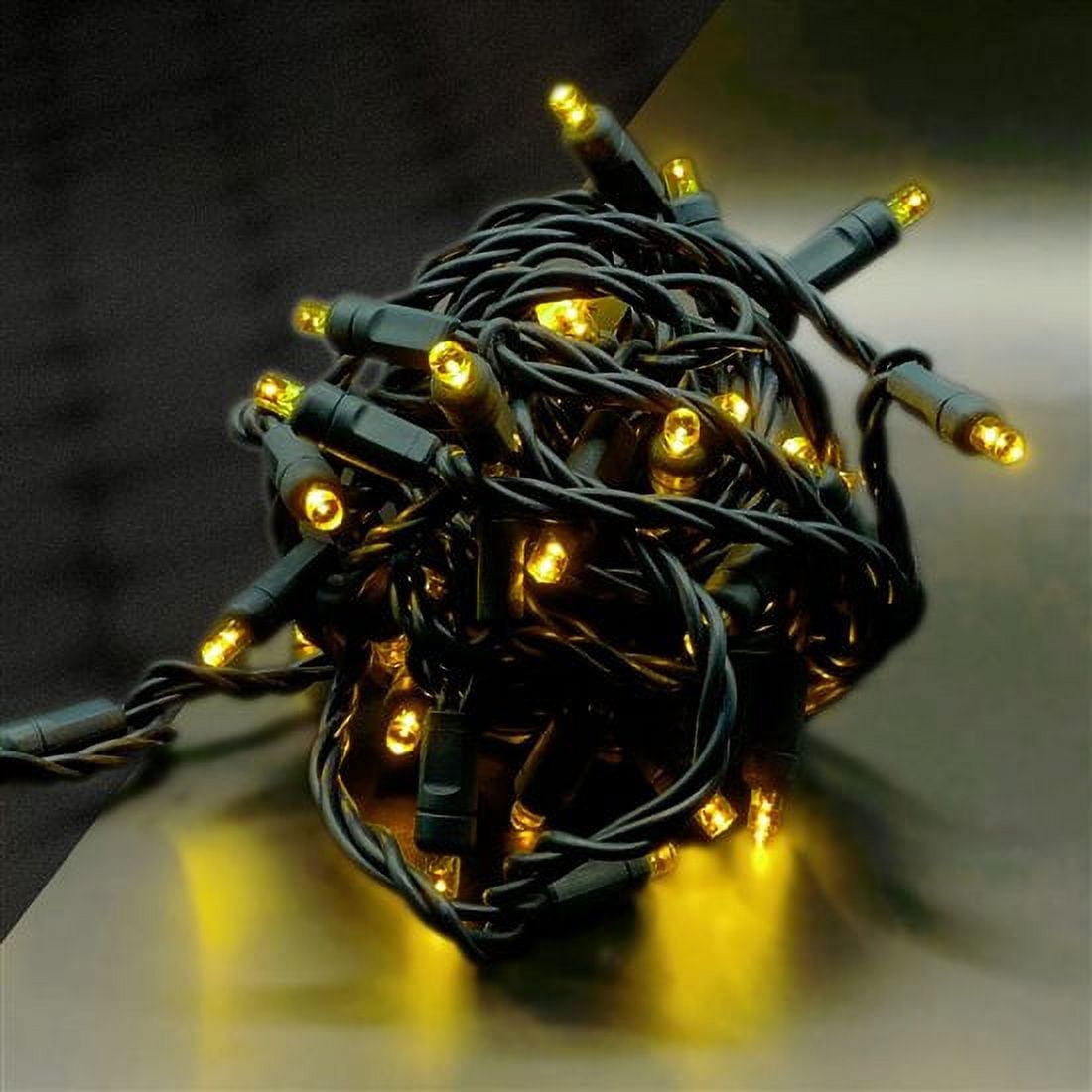 Holidynamics 50-Count Outdoor LED String Lights, 17 ft, Corded Electric ...