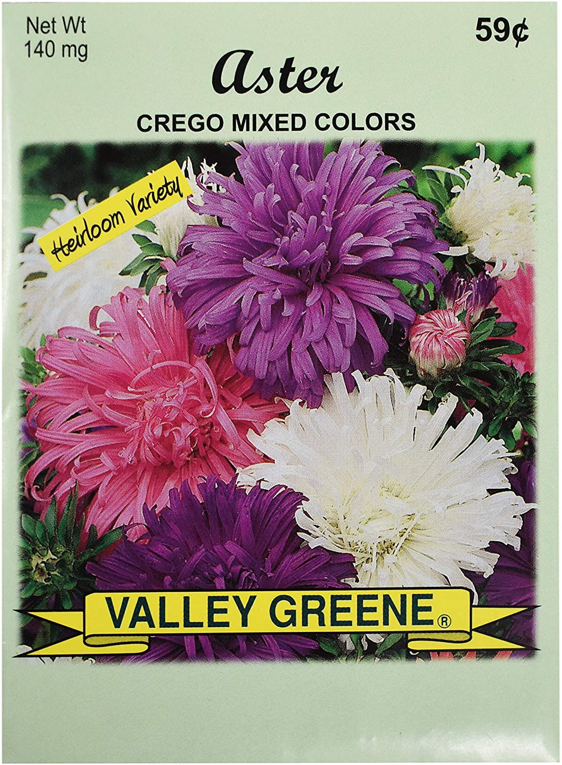 Set of 50 Packs of Aster Crego Flower Seed Packets! Flower Seeds in ...
