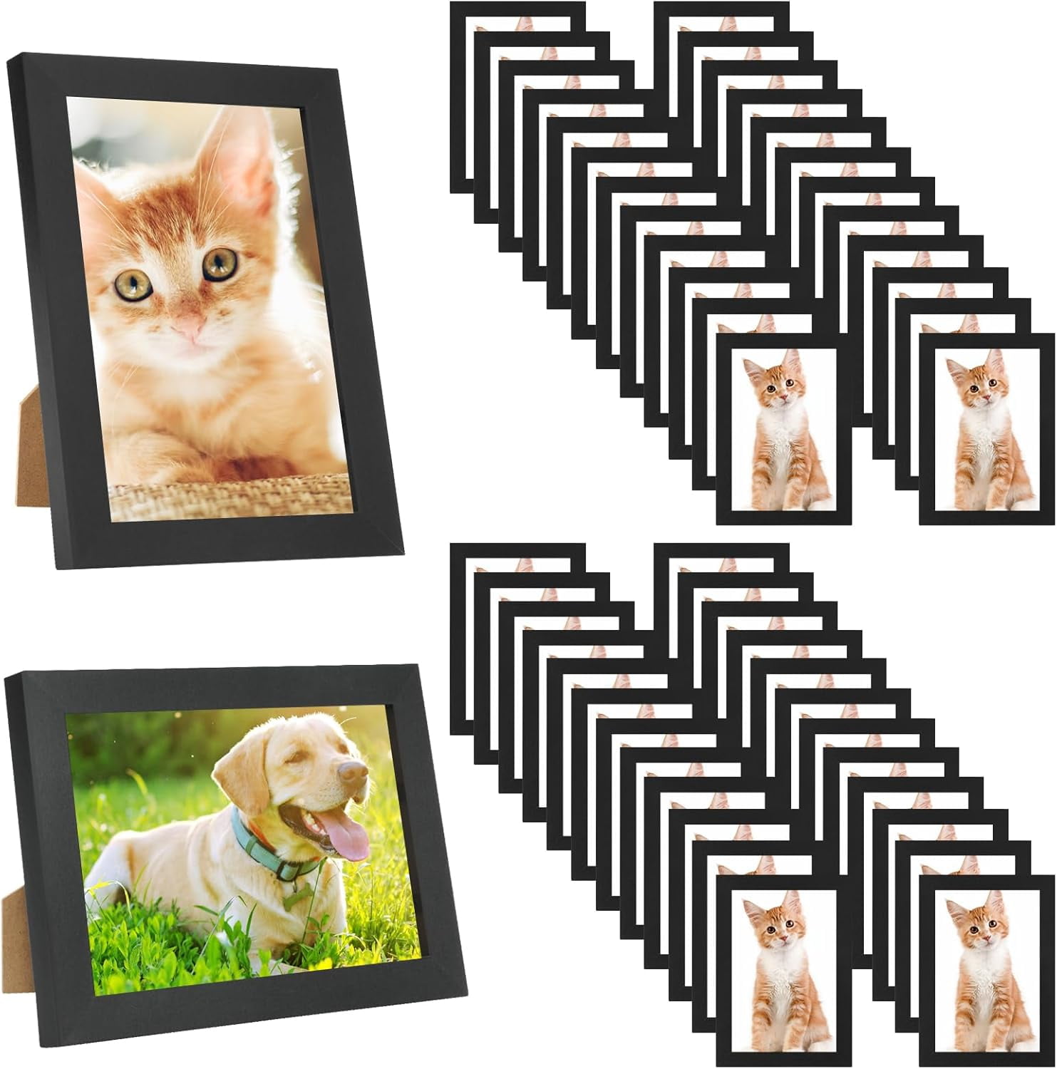 Set of 50 Picture Frame Bulk Photo Frames with Mat Wall Mounting Simple ...