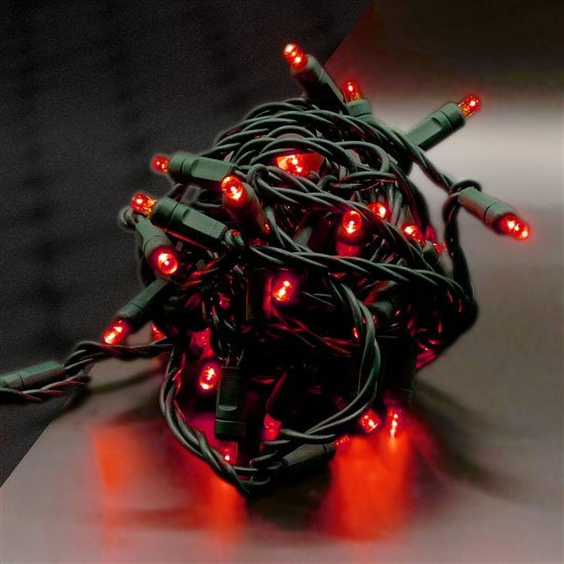 Set of 50 Red 5mm LED Mini Lights with 4in Spacing - Walmart.com