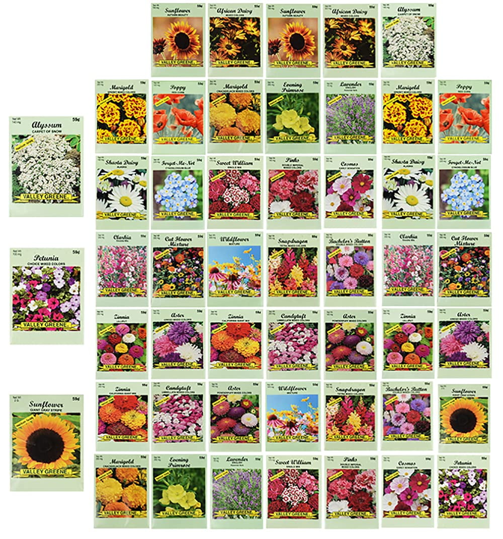 Set of 50 TWE5 Assorted Flower Seed Packets! Flower Seeds in Bulk - 10 ...