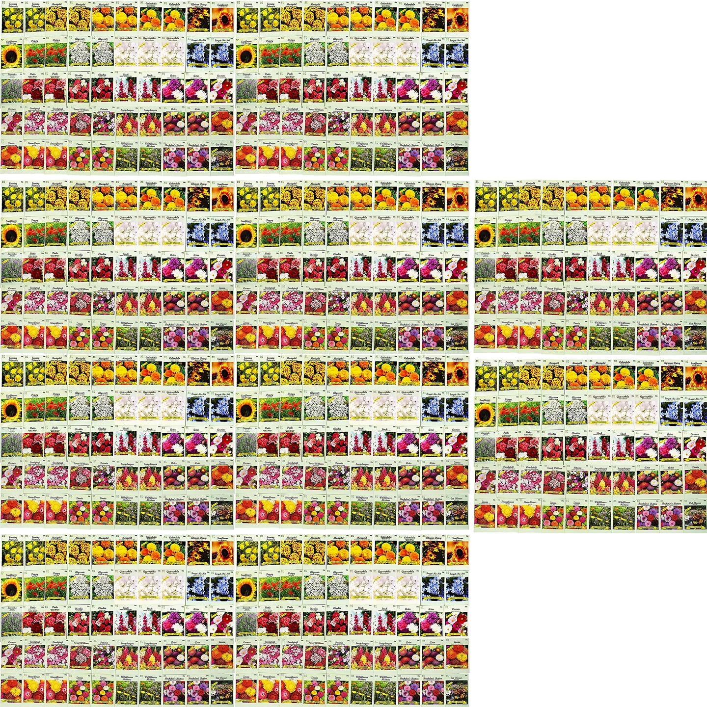 Set of 500 Assorted Flower Seed Packets! Flower Seeds in Bulk - 20 ...