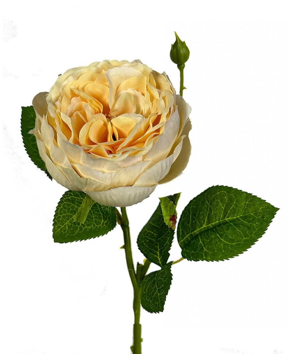 Set of 6 Buttercream English Garden Rose Artificial Flower - Walmart.com