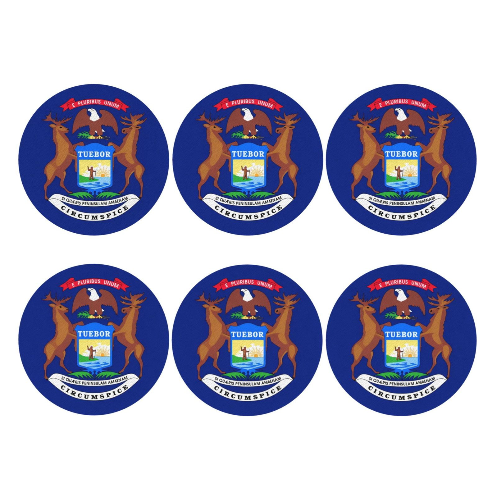 Set of 6 Michigan Flag Drink Coasters for Coffee Table Leather Coaster ...
