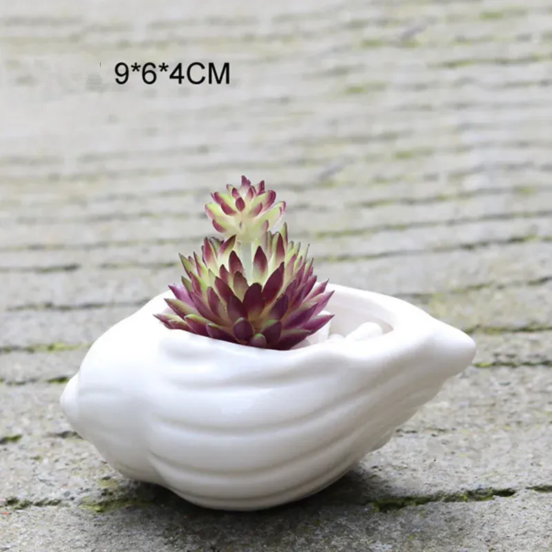 Set of 6 Mini Gorgeous White Shell Shaped Ceramic Planters - Stunning ...