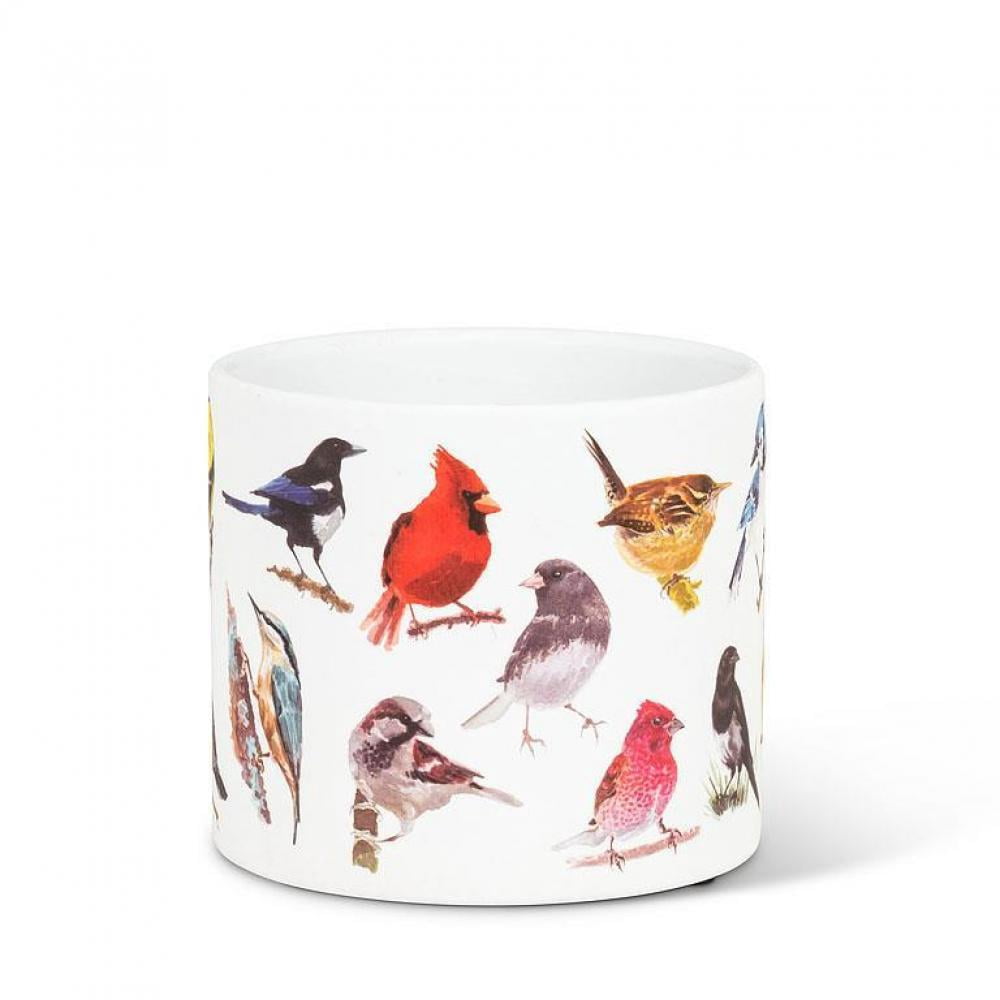 Set of 6 North American Birds Planter - Walmart.com