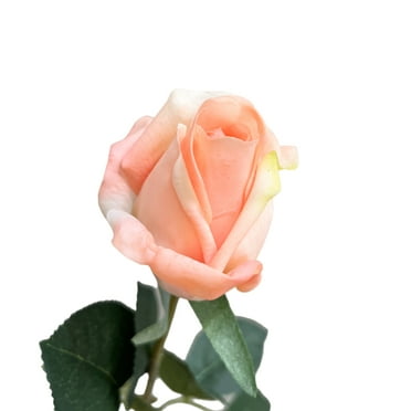 Artificial Rose Stems (Set of 6) with Realistic Feel - Walmart.com