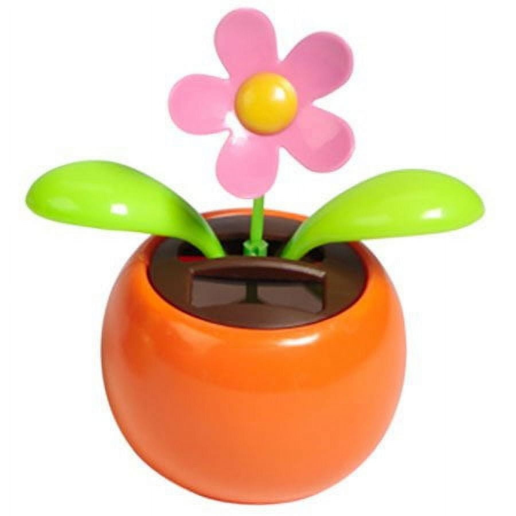Solar Powered Dancing Flower Desk Toys, Set of 6, Warm Fuzzy, Assorted ...