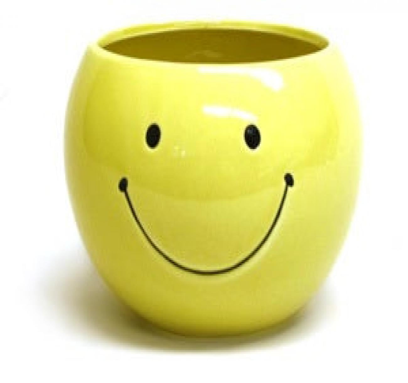 Set of 6 Yellow Happy Face Planter - Walmart.com