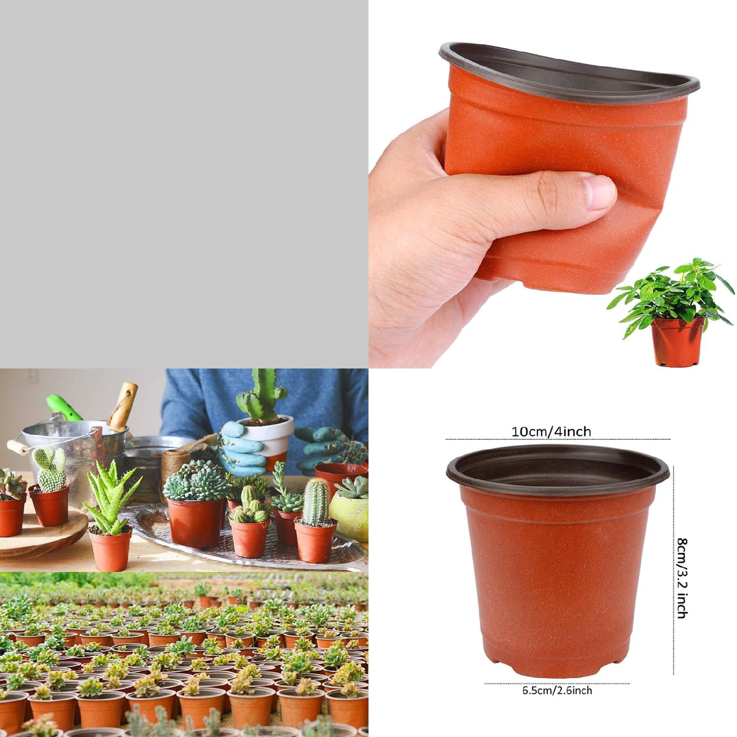 Set of 75 Durable 4-Inch Plastic Flower Pots for Succulent ...