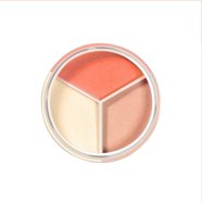 COVERGIRL Outlast All-Day Matte Finishing Powder, Medium to Deep, .39 ...