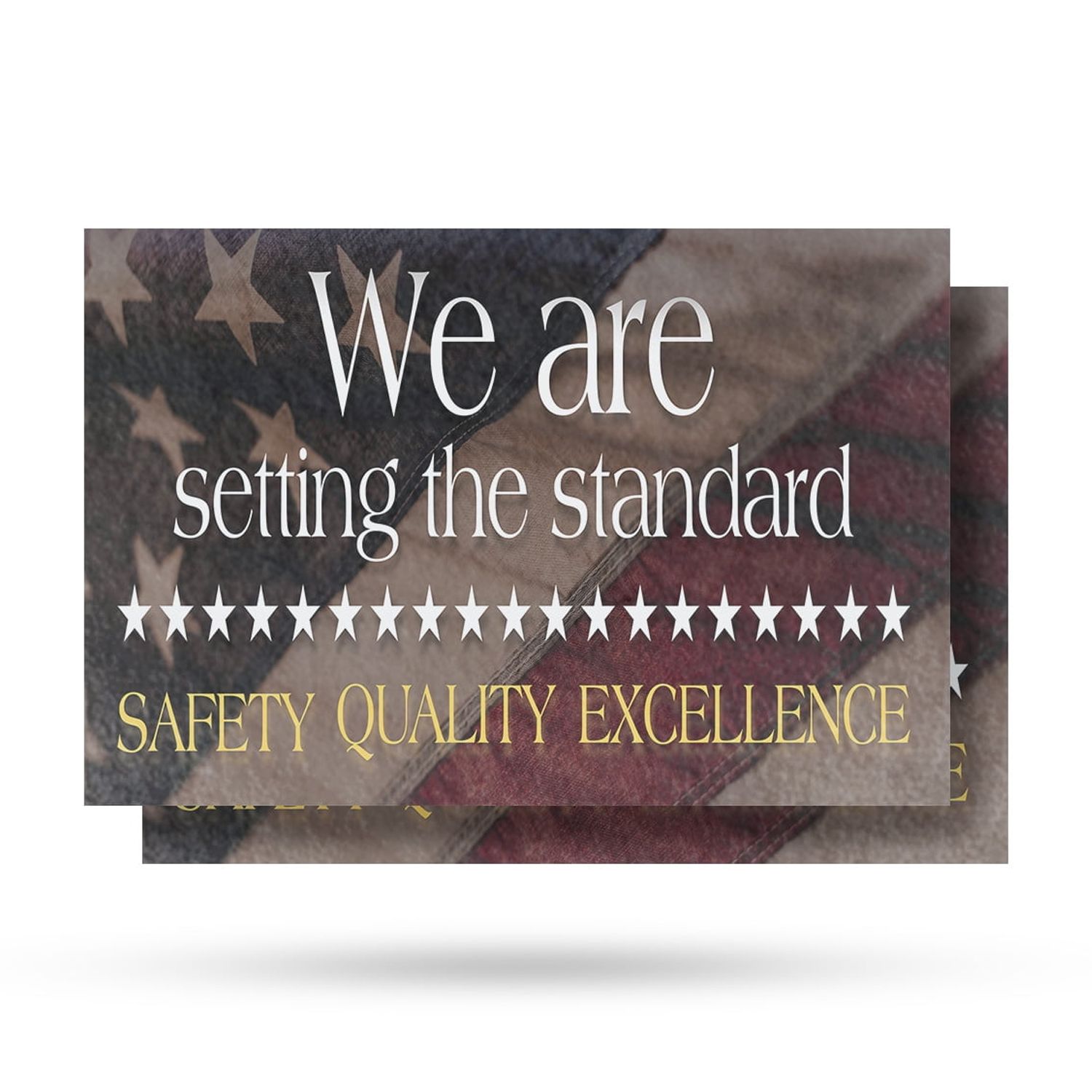 Setting the Standard Safety Vinyl Decal 2 Pack of 12 Inch x 16 Inch ...
