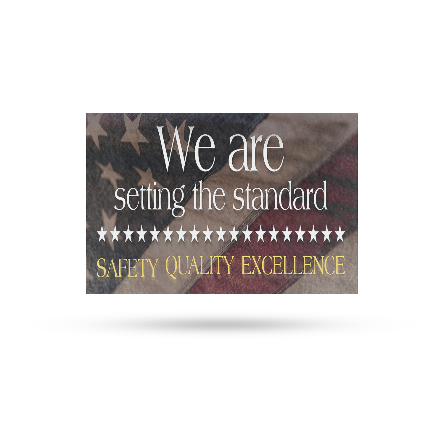 Setting the Standard Safety Vinyl Decal 24 Inch x 36 Inch Weatherproof ...