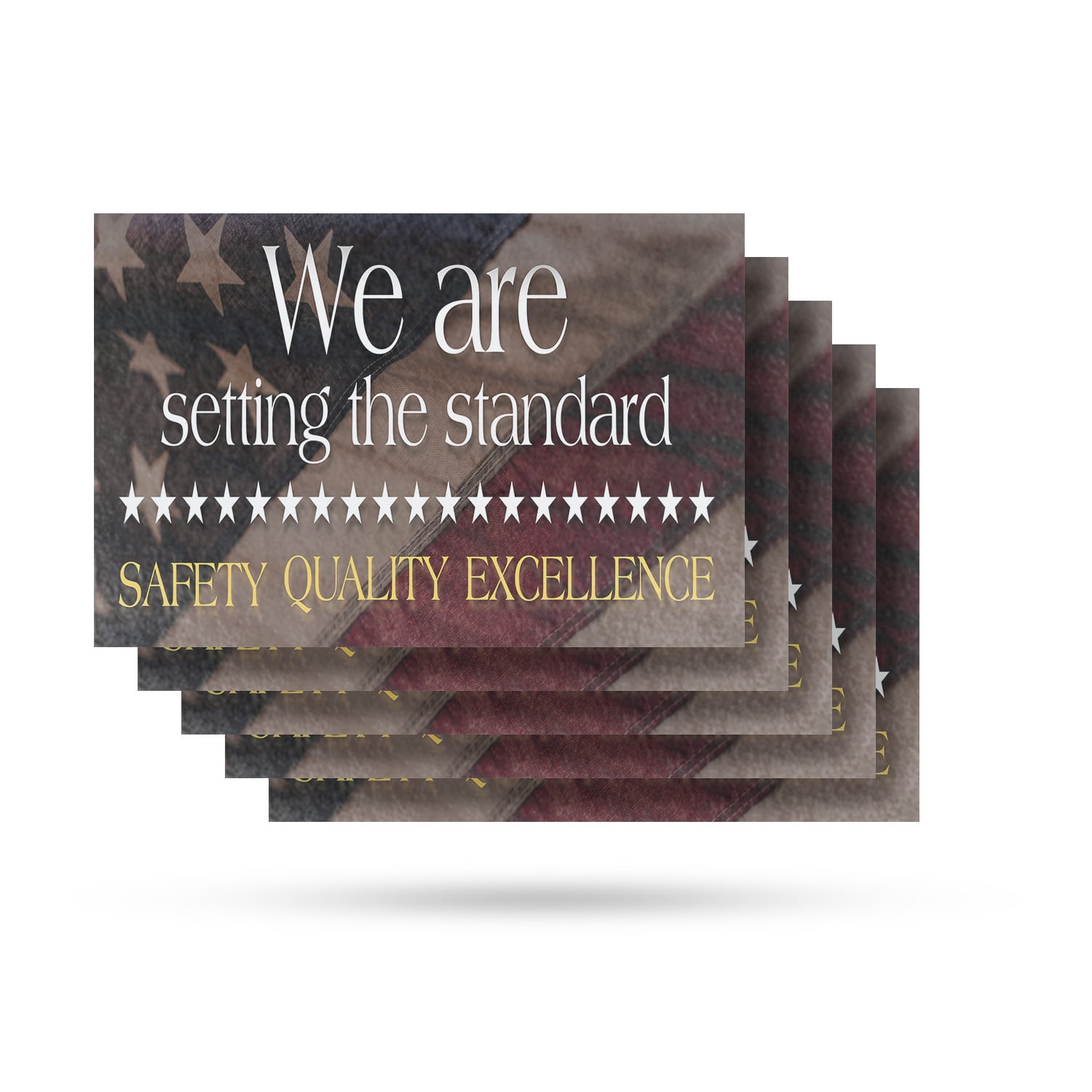 Setting the Standard Safety Vinyl Decal 5 Pack of 12 Inch x 16 Inch ...