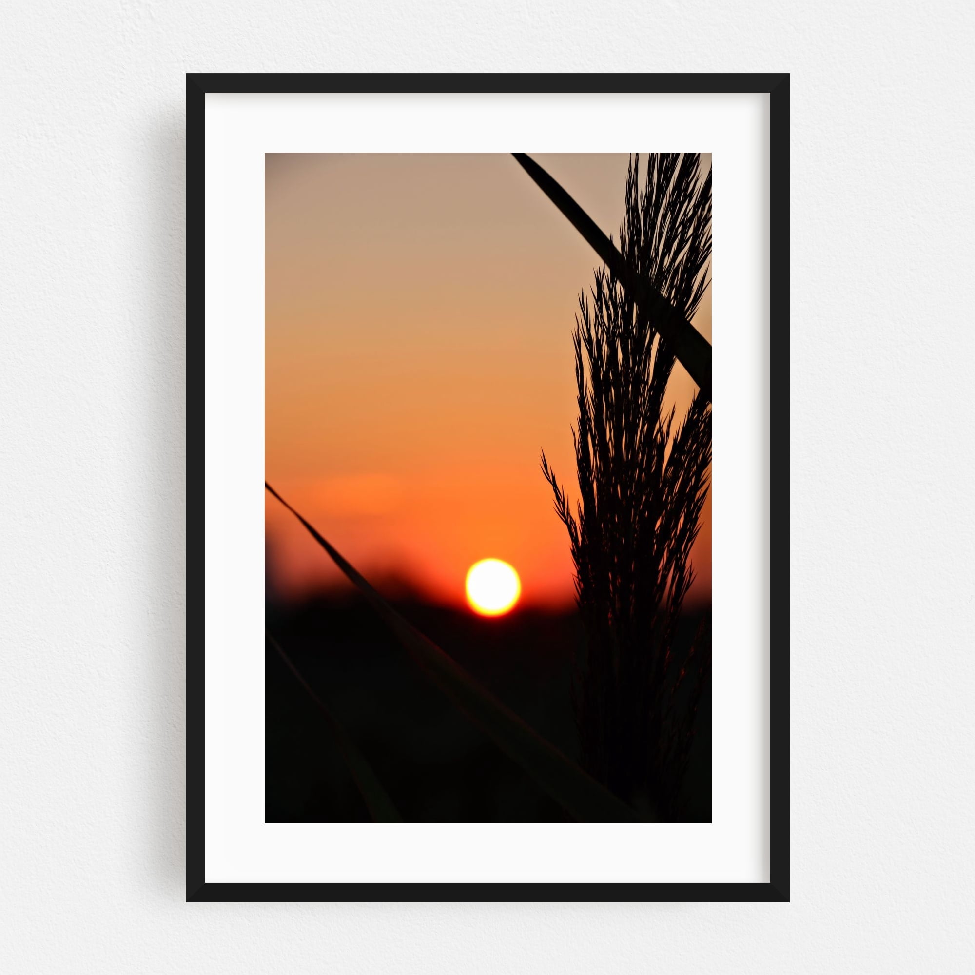 Through to the Setting Sun - New Jersey Photography Sunset Silhouette ...