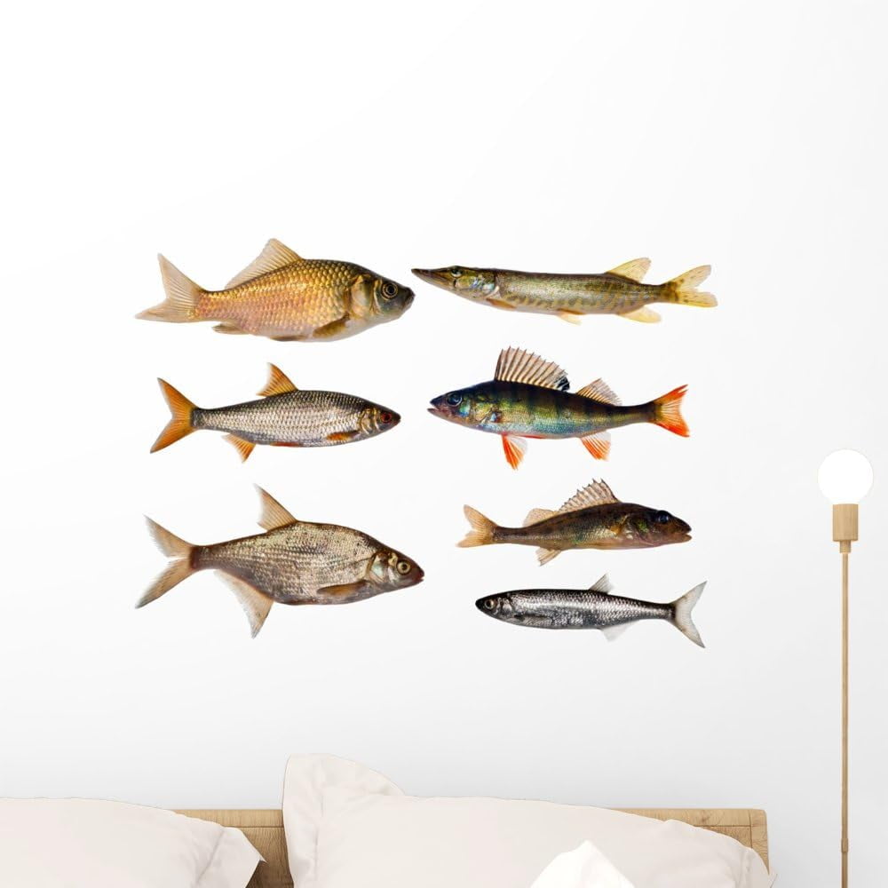 Seven Freshwater Fish Wall Decal Sticker Set Individual Peel and Stick ...
