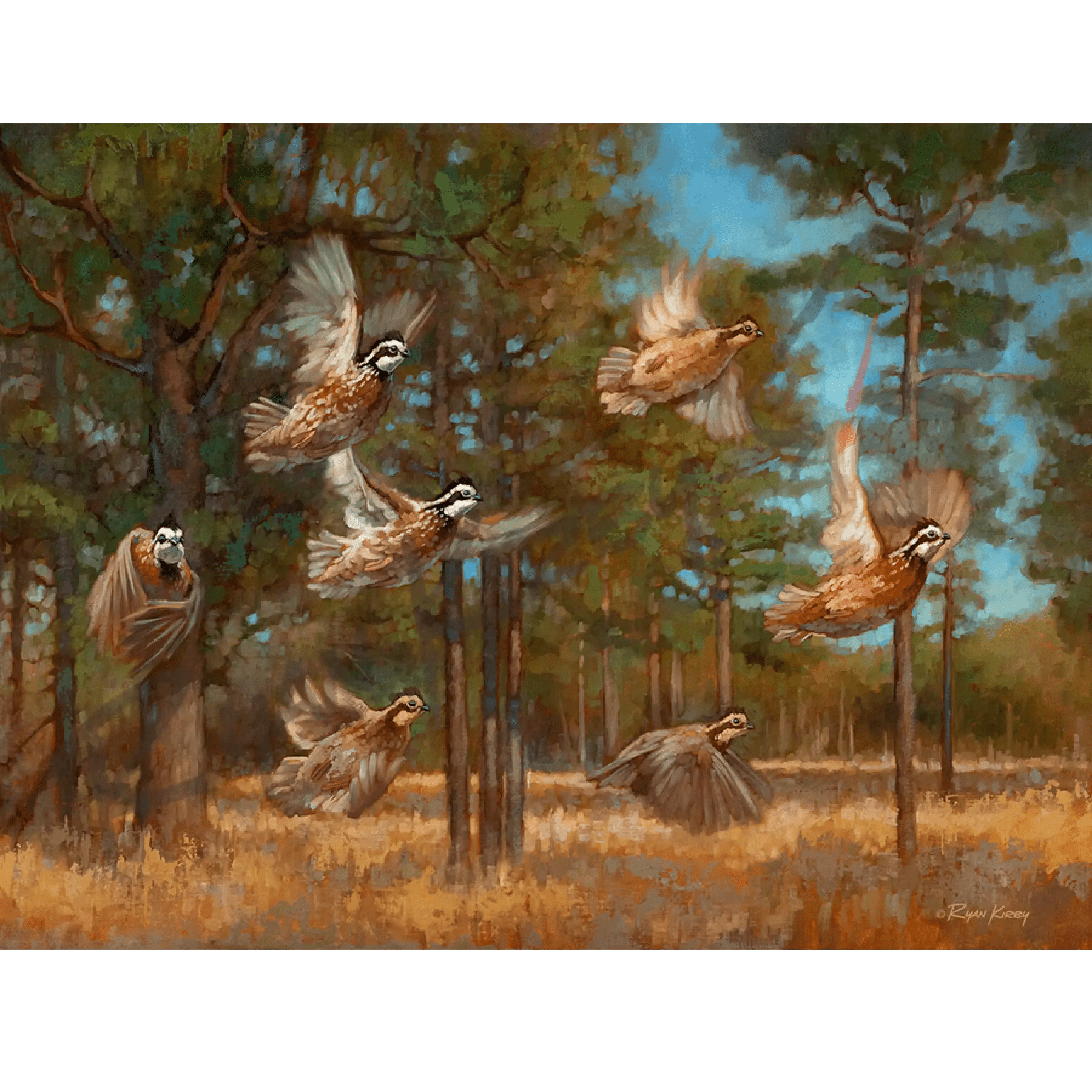 "Seven Out" Flushing Bobwhite Quail Canvas Art Print - Walmart.com