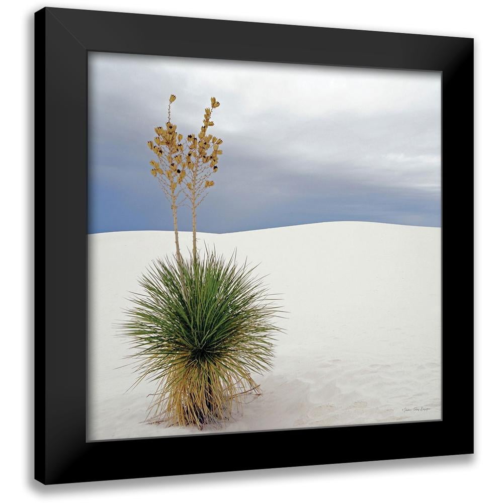 Seven Trees Design 12x12 Black Modern Framed Museum Art Print Titled ...