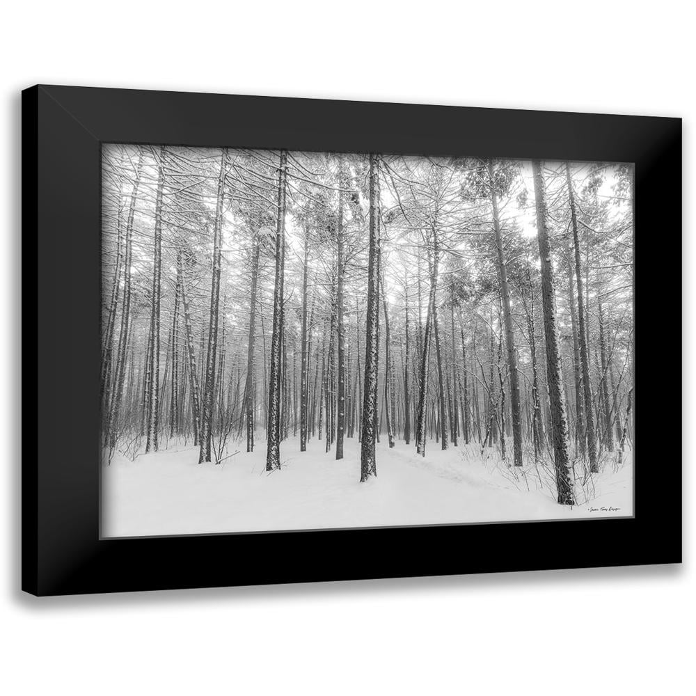 Seven Trees Design 14x12 Black Modern Framed Museum Art Print Titled ...