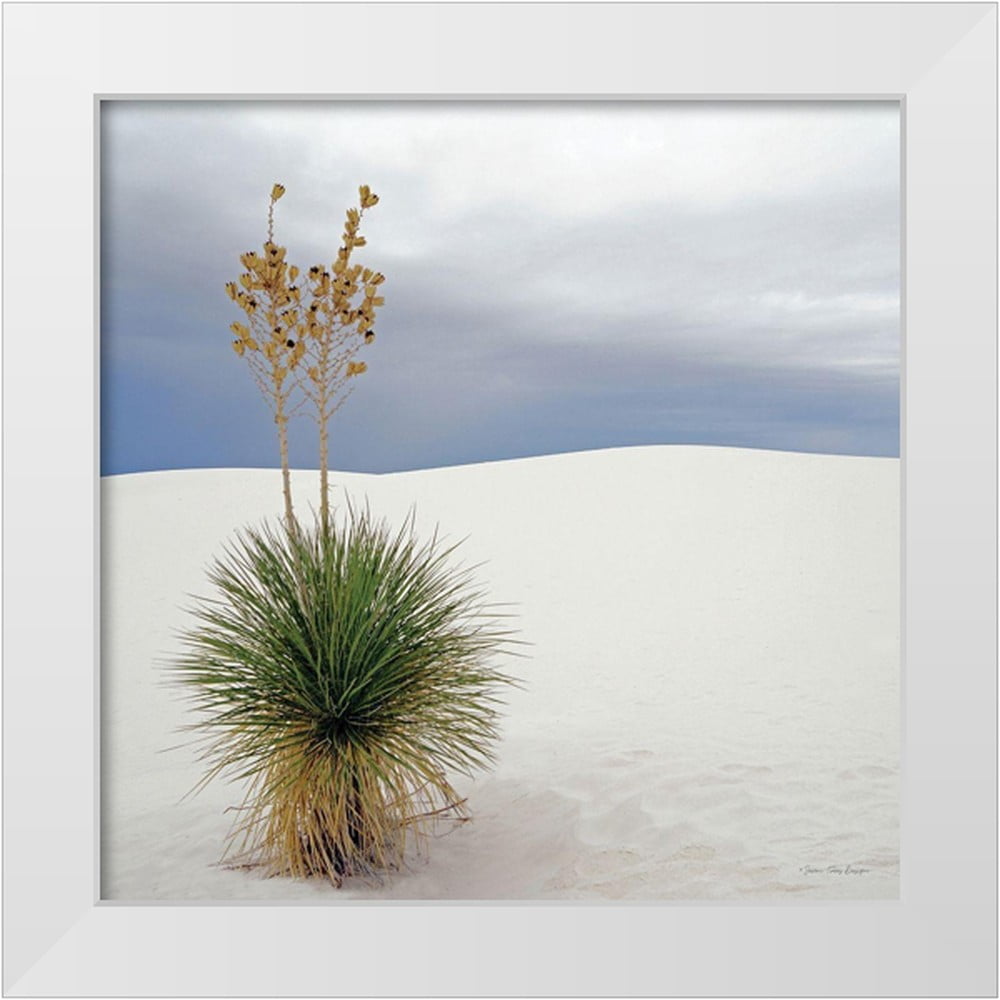 Seven Trees Design 15x15 White Modern Wood Framed Museum Art Print ...