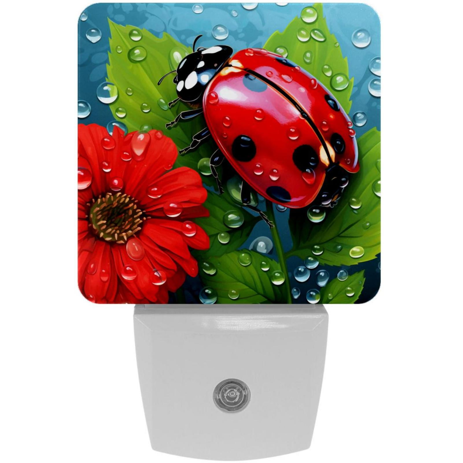 Seven-star ladybug LED Square Night Lights - Energy Efficient and ...