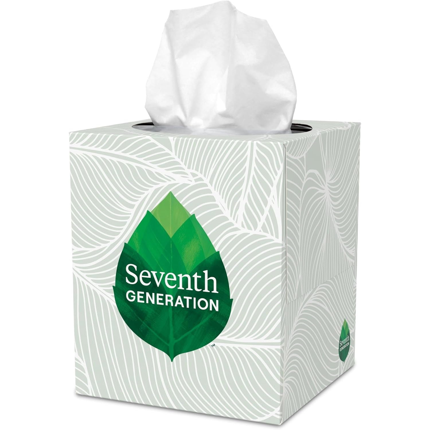 Seventh Generation Facial Tissue, 2-Ply Sheets, 85-Count Boxes (Pack of ...