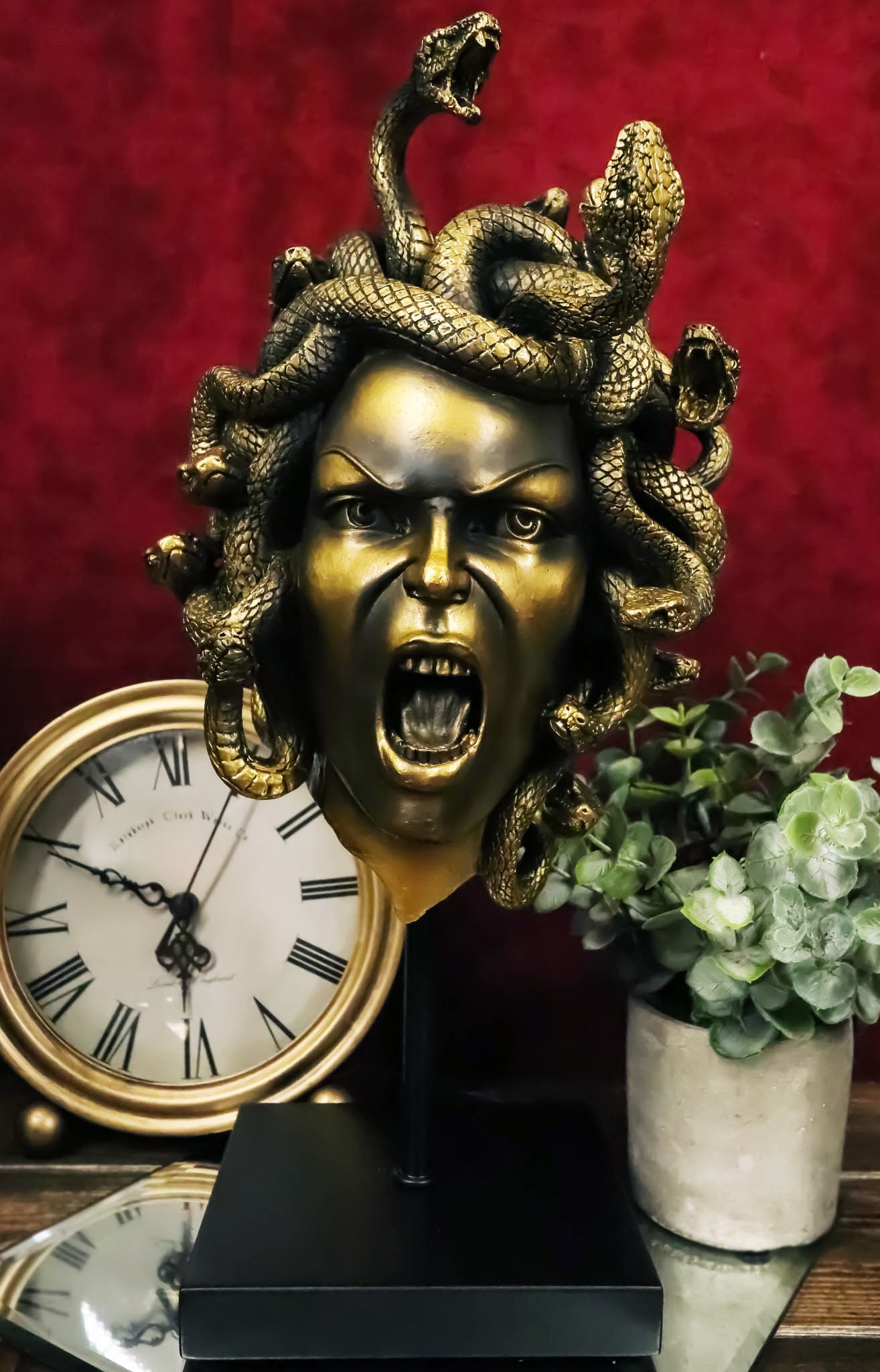 Severed Head Greek Goddess Medusa With Venom Snakes Hair On Pole Stand ...