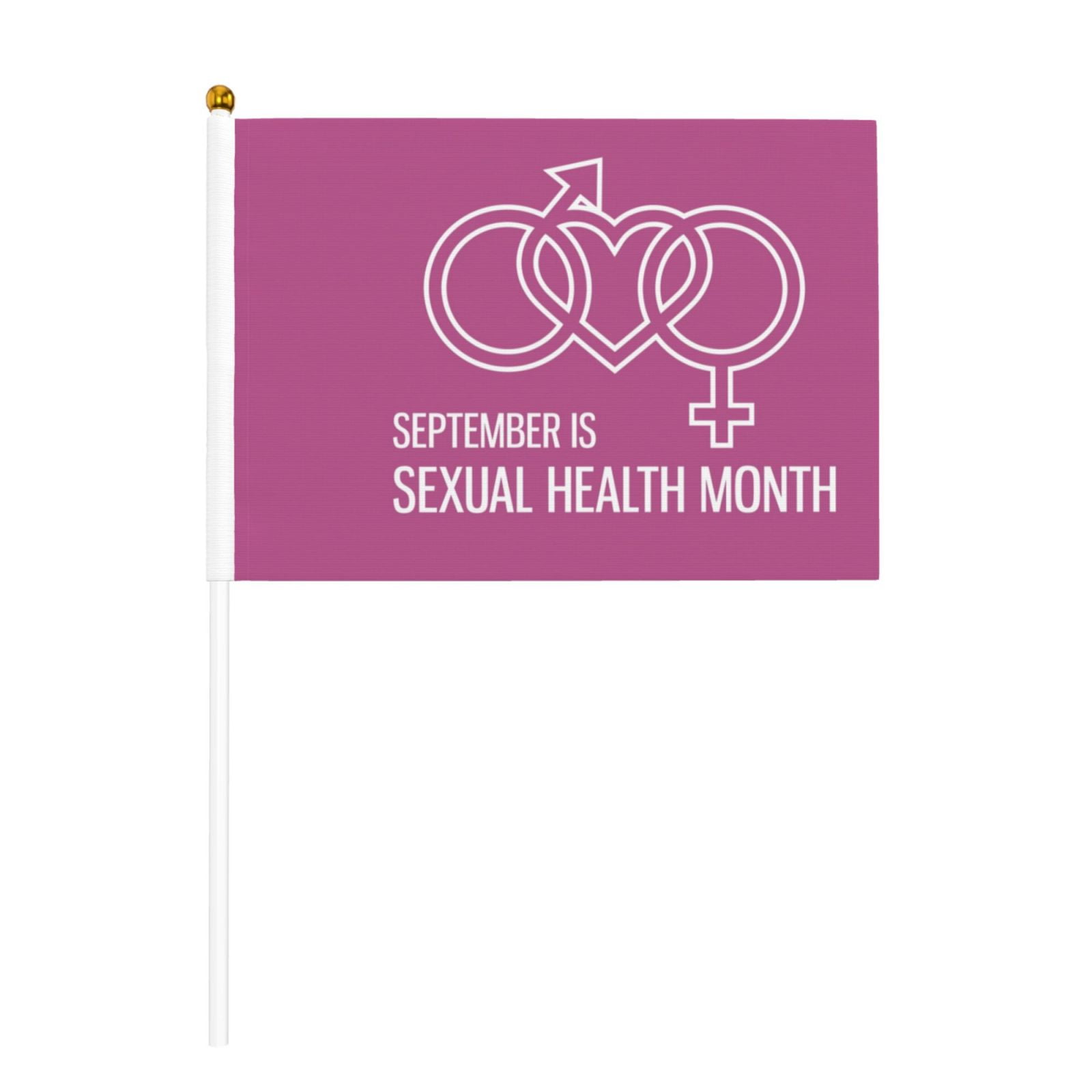 Sexual Health Awareness Month Flag Small Mini Hand Held Flags Small ...