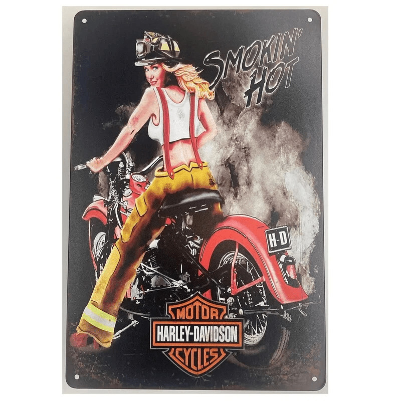 Sexy Lady metal tin signs wall posters plaque pinup girls sign vintage ...