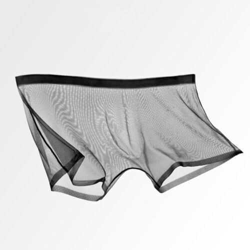 Sexy Men Briefs Sheer See Through Boxer Underwear Mesh Shorts Trunks ...