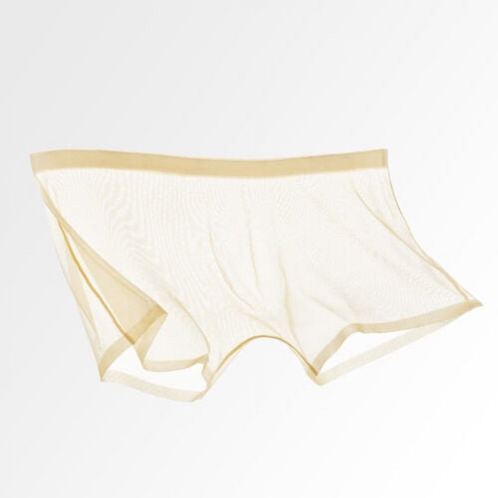 Sexy Men Briefs Sheer See Through Boxer Underwear Mesh Shorts Trunks ...