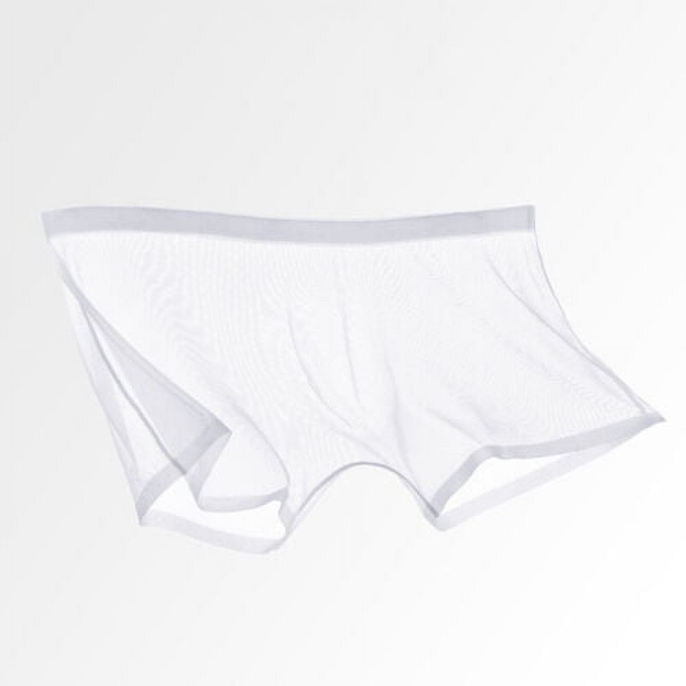 Sexy Men Briefs Sheer See Through Boxer Underwear Mesh Shorts Trunks ...