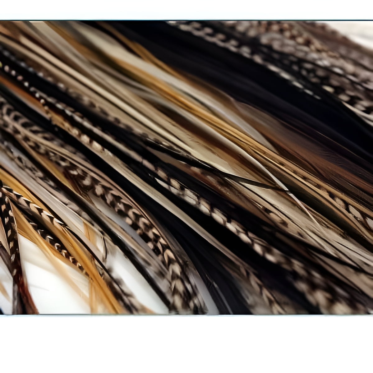 Sexy Sparkles NEW 7-11 Feather Hair Extension Beige, Blond, Black ...