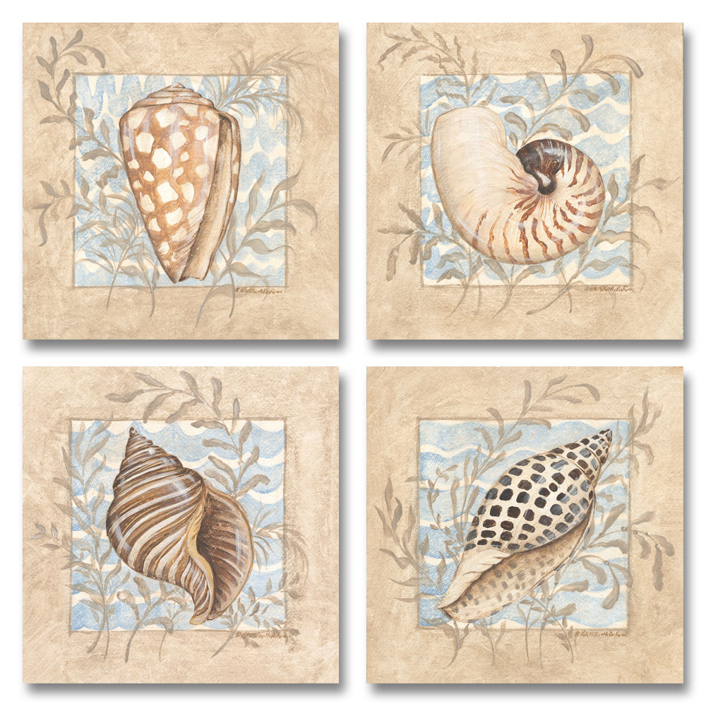 Seychelles Island; Lovely Tan and Blue Seashell Set; Four 12X12 Poster ...