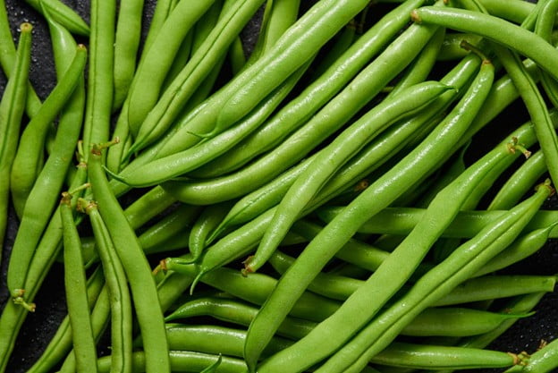 Seychelles Vining French Green Bean Haricots Verts Premium Seeds for ...