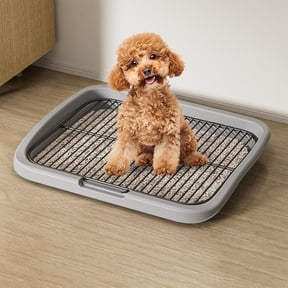 Shop Puppy Pee Pad Holders and Accessories for Easy Training